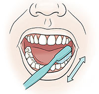 How to Brush Your Teeth | Saint Luke's Health System